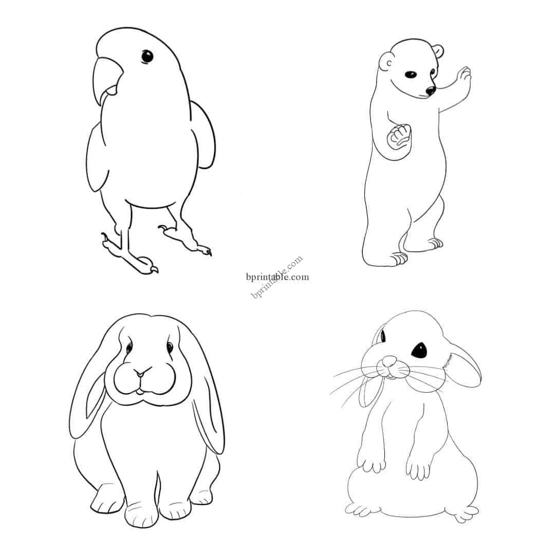 Kids Coloring Animal Images | Fun & Creative | BPrintable